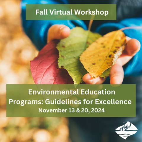 Environmental Education Programs: Guidelines for Excellence virtual ...